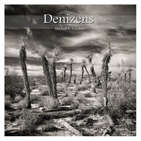 Denizens | California Desert Photographic Artist Michael E. Gordon