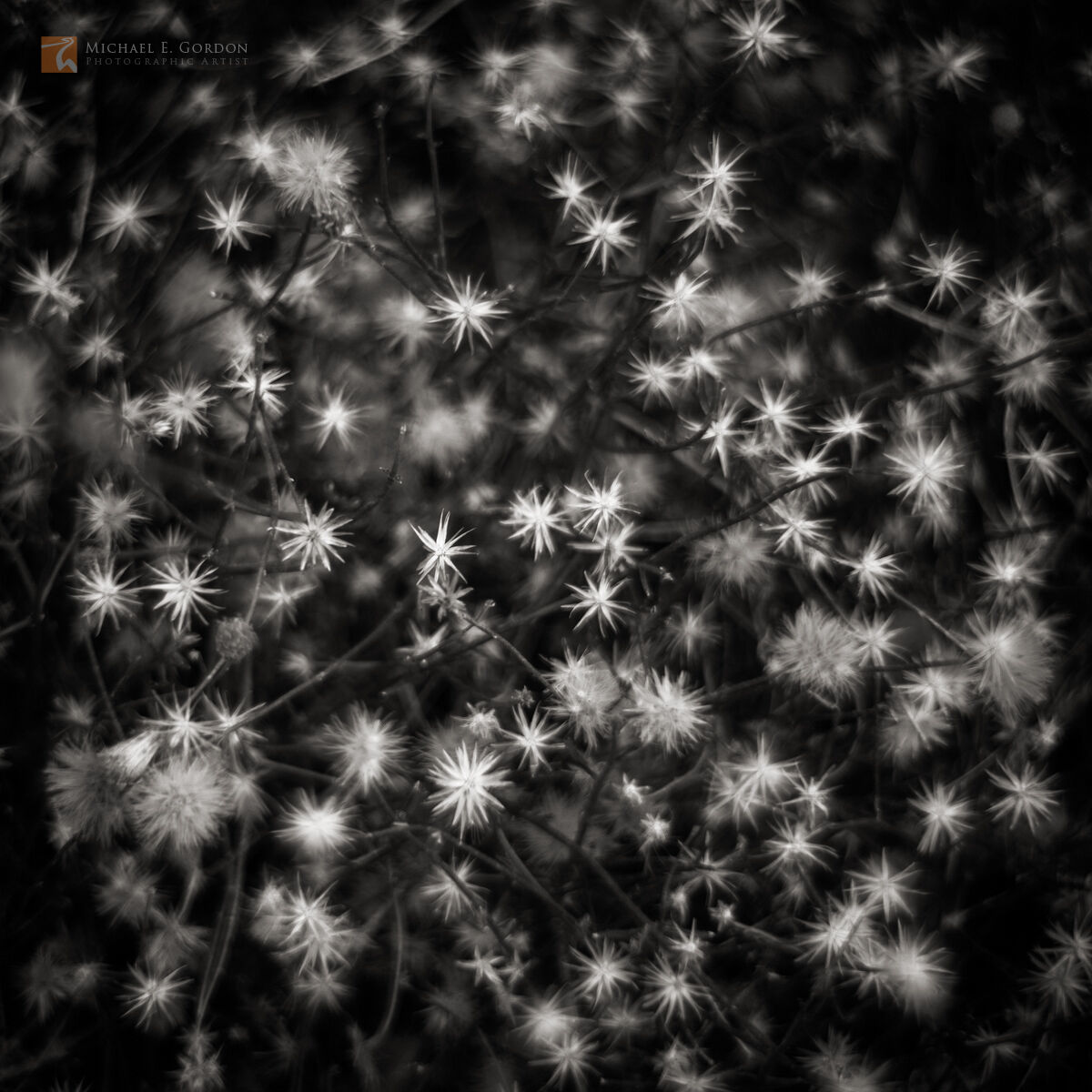 For What Else It Is | California Desert Photographic Artist Michael E ...